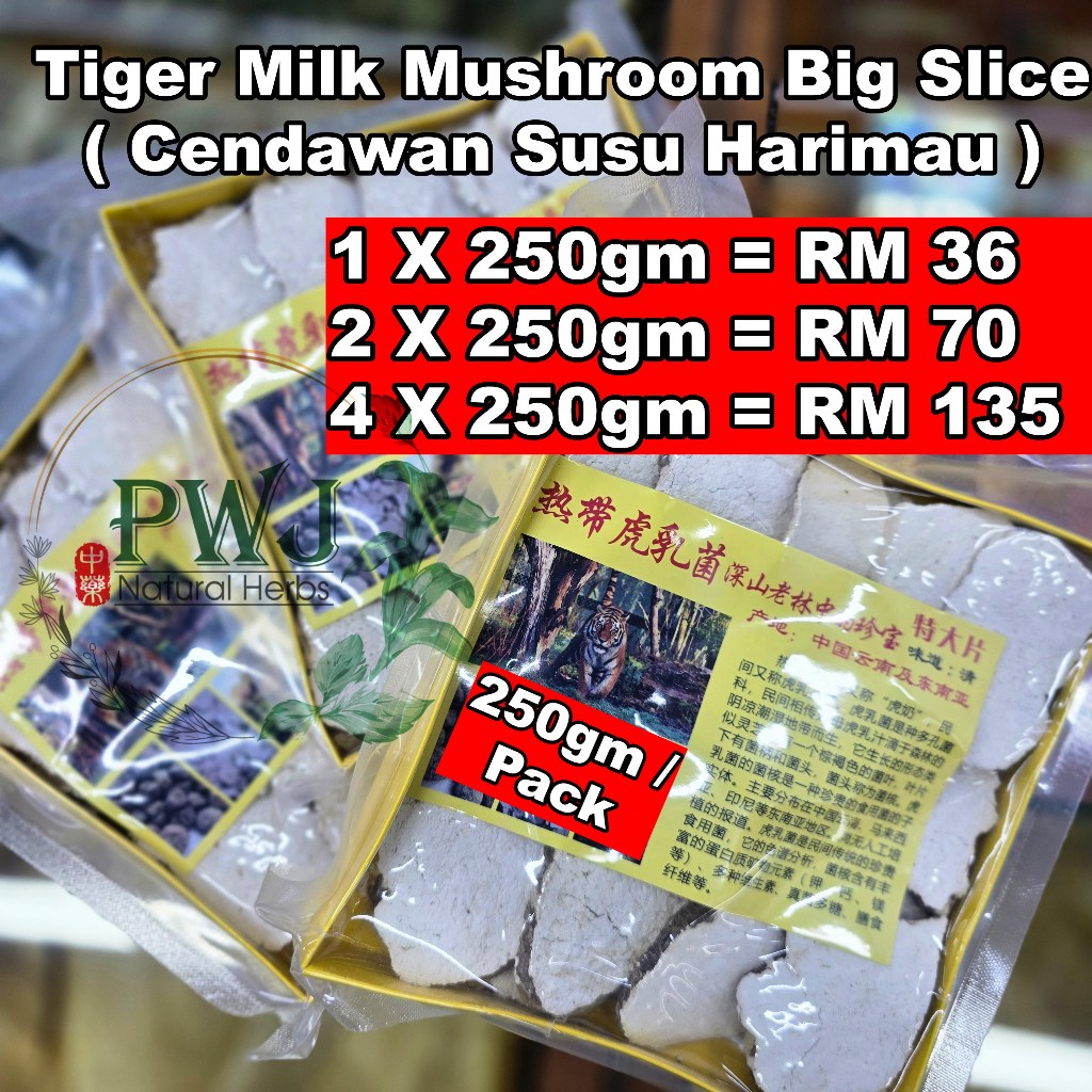 Tiger Milk Mushroom Big Slice ( Cendawan Susu Harimau ) 虎乳菌大片 (250GM ...