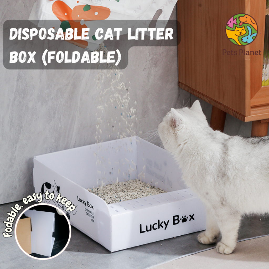 Disposable Cat Litter Box | Travel Convenient Collapsible Cat Litter ...