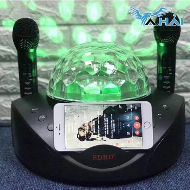 SDRD SD308 Flash LED light Dual wireless Microphone Bluetooth speaker ...