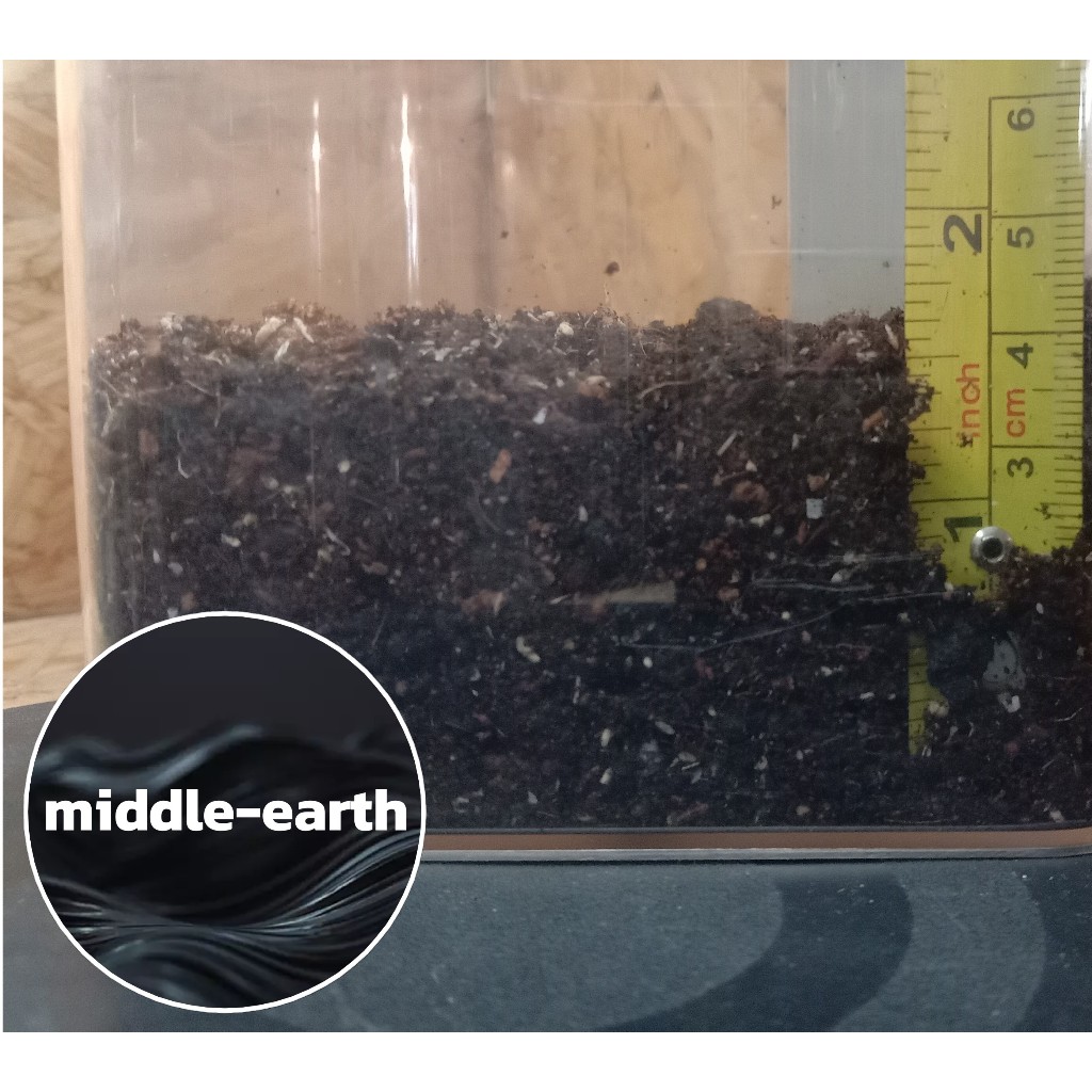 Isopod - Substrate/Soil Media (Moist Retention) | Shopee Singapore