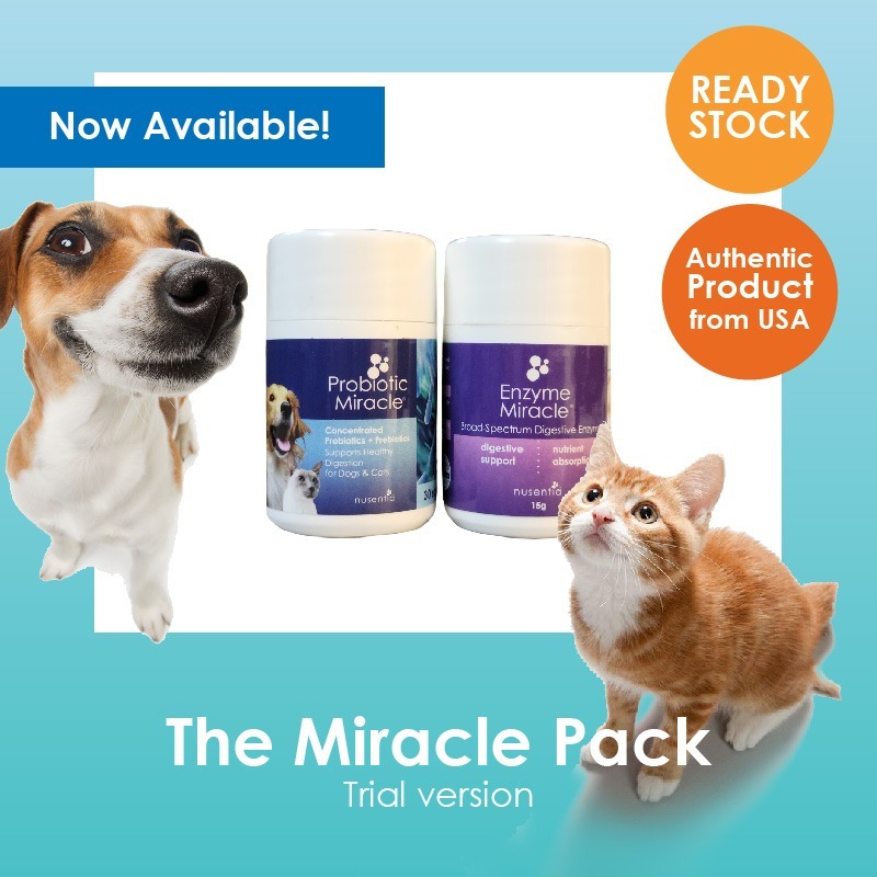 The Nusentia Miracle pack: Probiotic Miracle and Enzyme Miracle trial ...