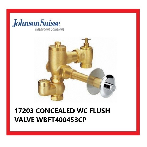 FLUSH VALVE JOHNSON SUISSE 17203 CONCEALED WC FLUSH VALVE WBFT400453CP ...