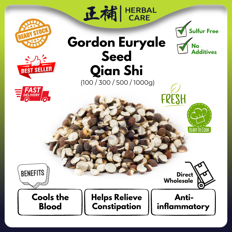 Prickly Waterlily Seed XL (Qian Shi) 大芡實 茨實 欠實 芡實 Gordon Euryale Seed ...