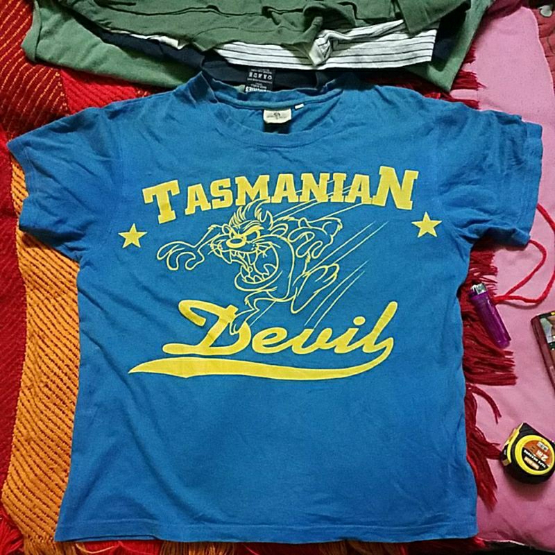 Looney TUNES TASMANIAN DEVIL PIT 20 LABUH 24 Inch | Shopee Singapore