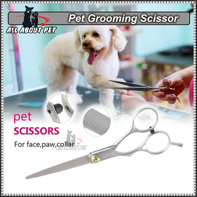 Pet Dog Grooming Scissors Curved Up Down Cut Sharp Edges Animal Cat ...