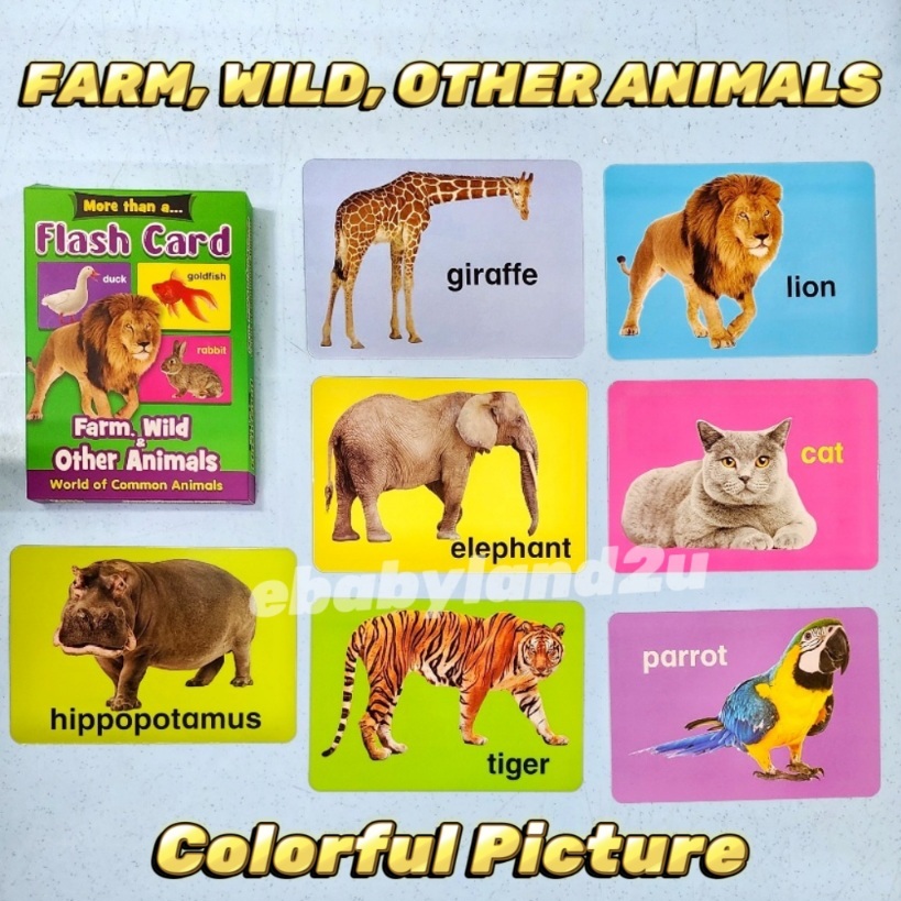 Early Learning Flash Card ABC Alphabet Number Animals Fruit Iqra Jawi ...