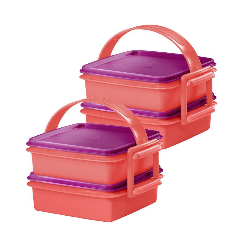 Tupperware (1 Set - 2 Containers & 1 Cariolier) Small Goody Box 790ml ...