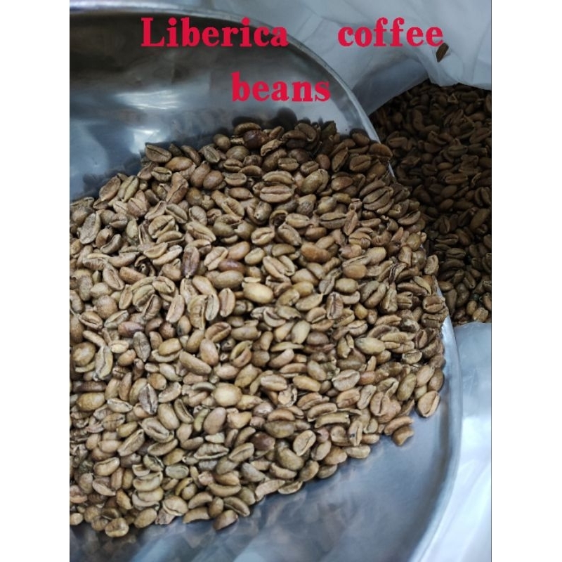 100%Raw Local liberica coffee beans 1kg (unroasted) | Shopee Singapore
