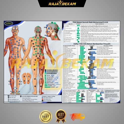 Cupping Guide Poster/9in1 Poster/A3 Cupping Point Map by Raja Bekam ...