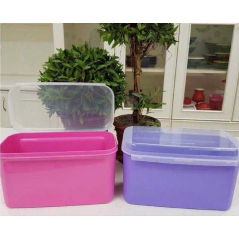 Tupperware 2.6L Ezy Keeper Rectangular Small (1pc) | Shopee Singapore