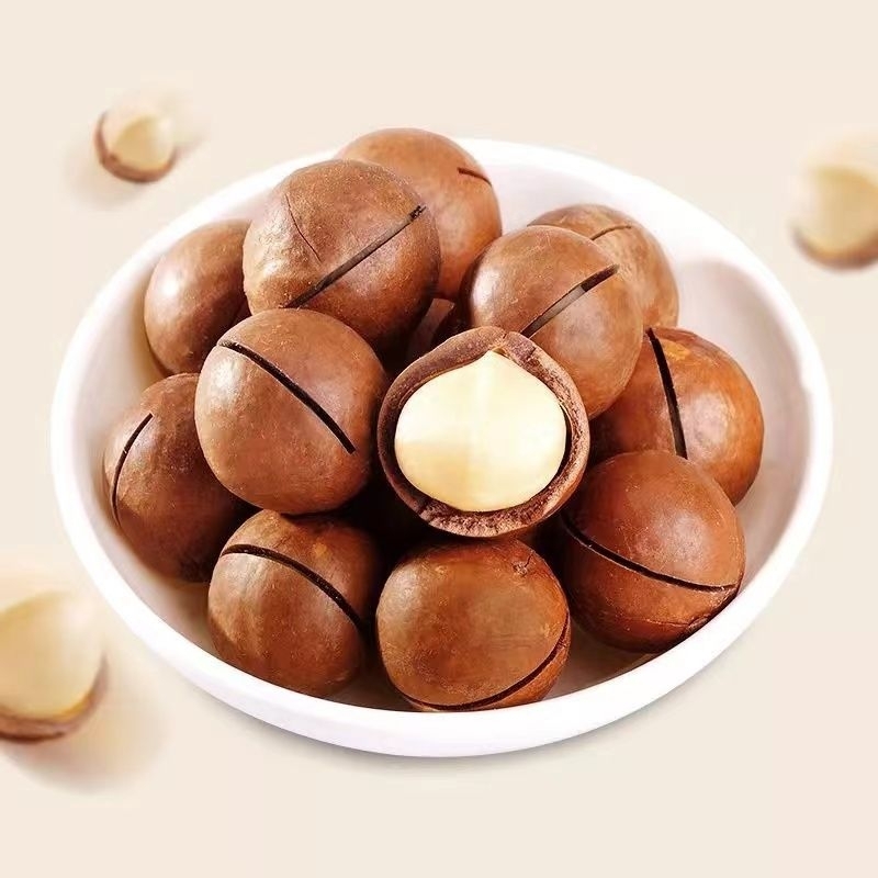 [Australian Macadamias] Macadamia Nuts with shell 澳大利亚烤夏威夷果 - Free ...
