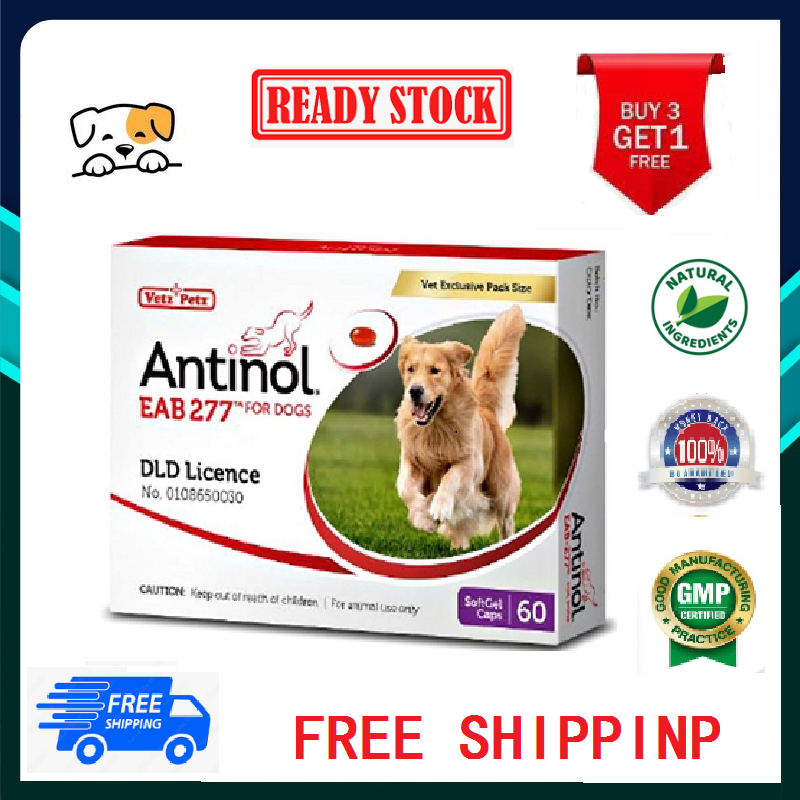 Antinol DOG antinol dog 60 Caps/1 Box Arthritis Supplements Antinol ...