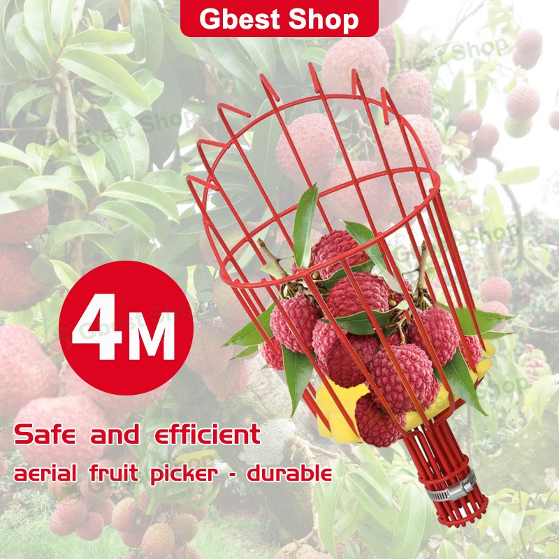 Fruit Picker net Basket plucking mango papaya plucker catcher Garden ...