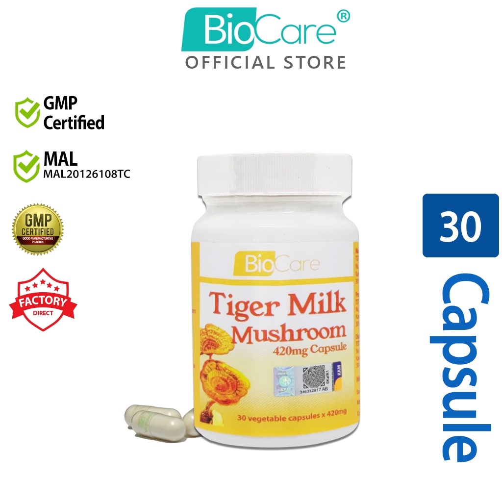 Biocare Tiger Milk Mushroom Capsule KKM Approved (30 Capsules) | Shopee ...