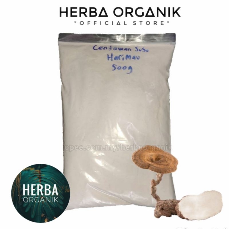 HerbaOrganik 500G CENDAWAN SUSU HARIMAU POWDER (TIGER MILK MUSHROOM ...