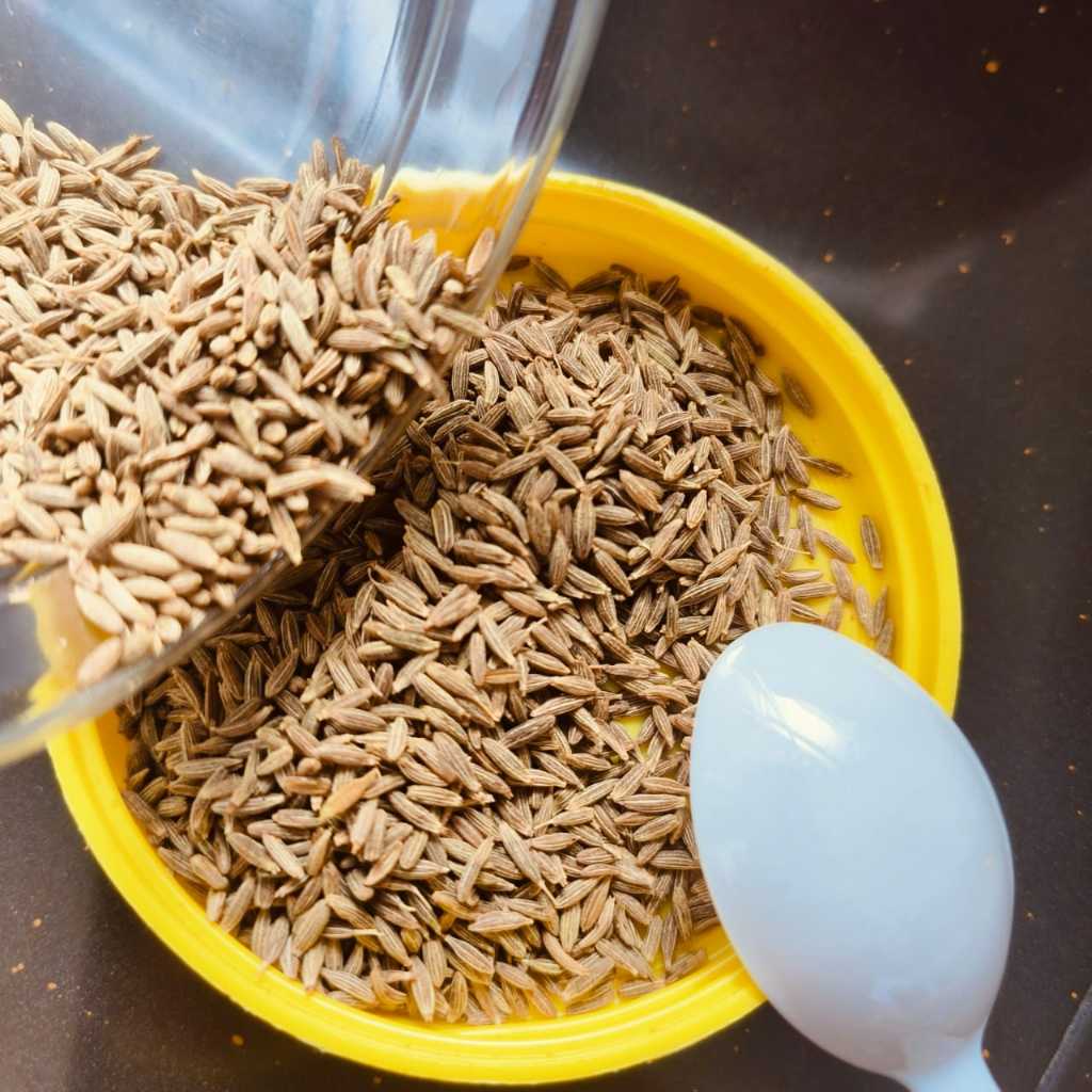 Imported Cumin/Jeera seed (100g/200g/500g) | Shopee Singapore