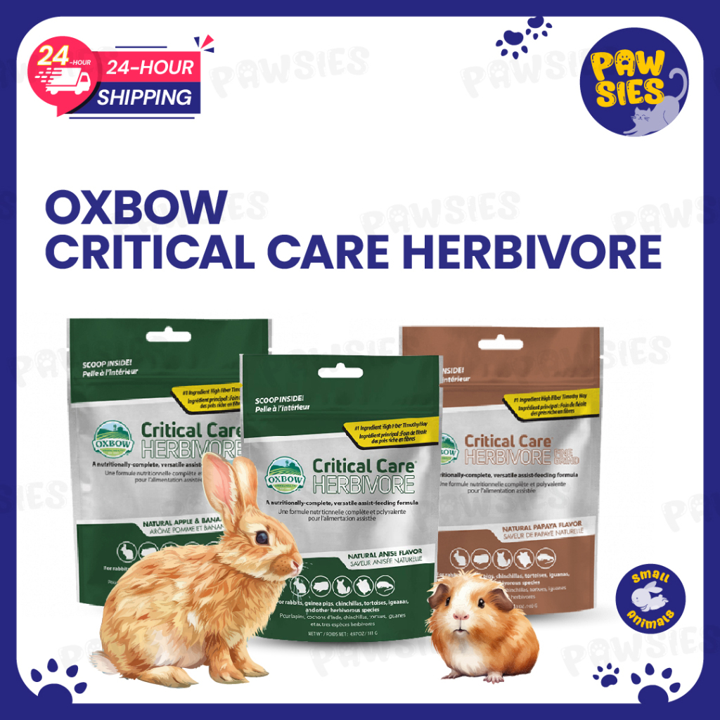 【24hr Ship】 OXBOW CRITICAL CARE HERBIVORE 141g 454g Anise Apple Banana ...