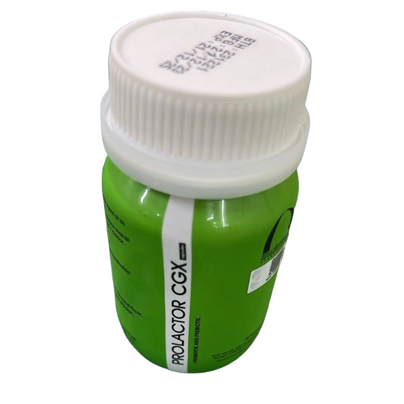 Prolactor CGX 30’s Probiotics | Shopee Singapore