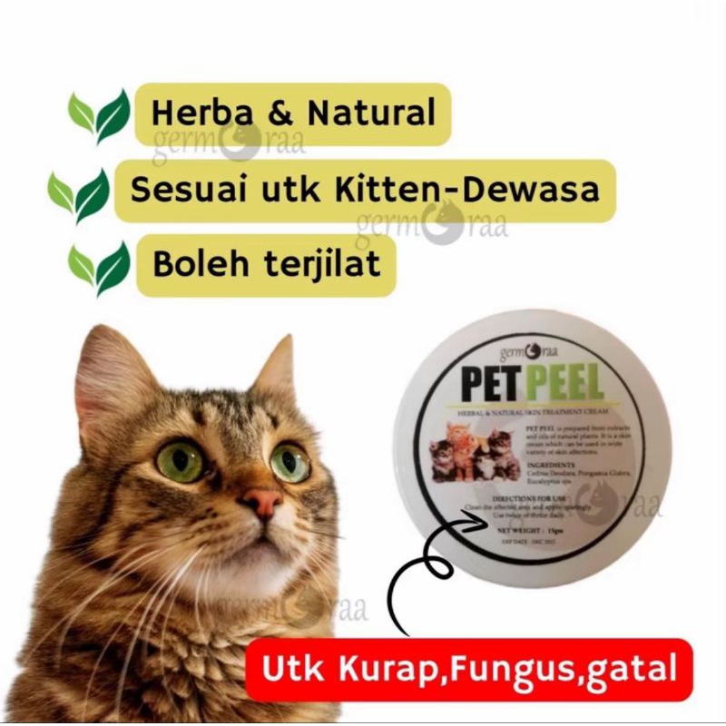 Ringworm Remedy Anti Fungal Bacteria Germ Ringworm Wounds Spores Boils ...