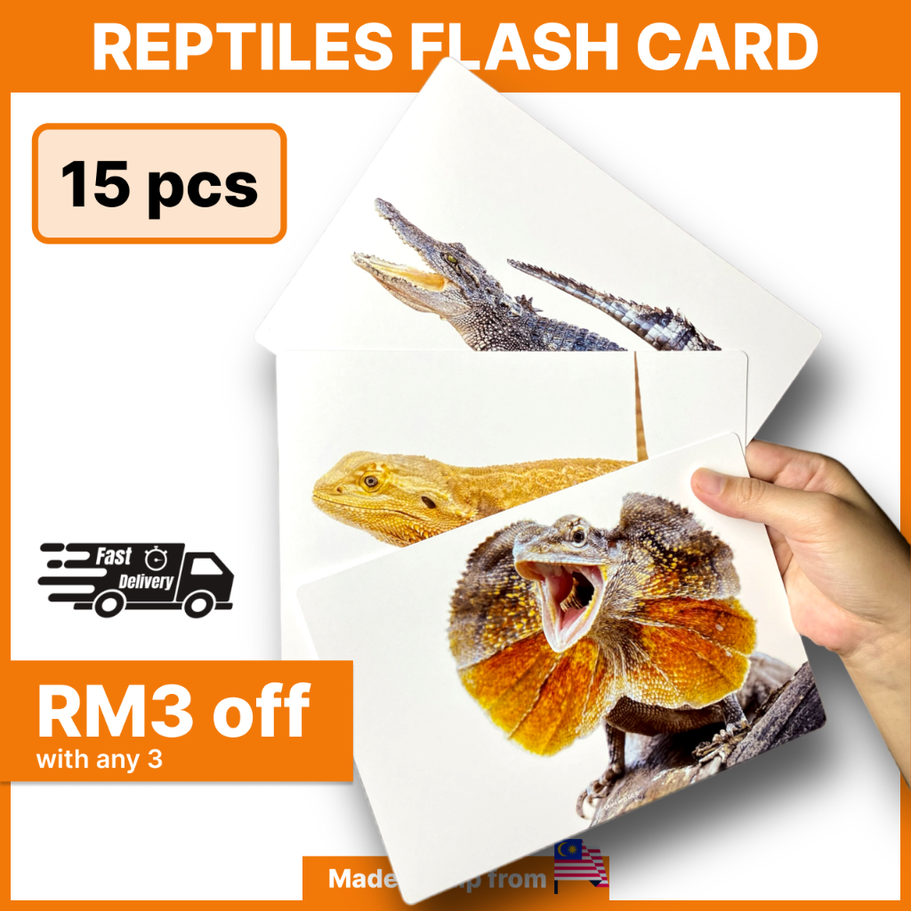 Reptiles Flash Cards for Kids, Baby, Big Flash Card, Flashcard ...