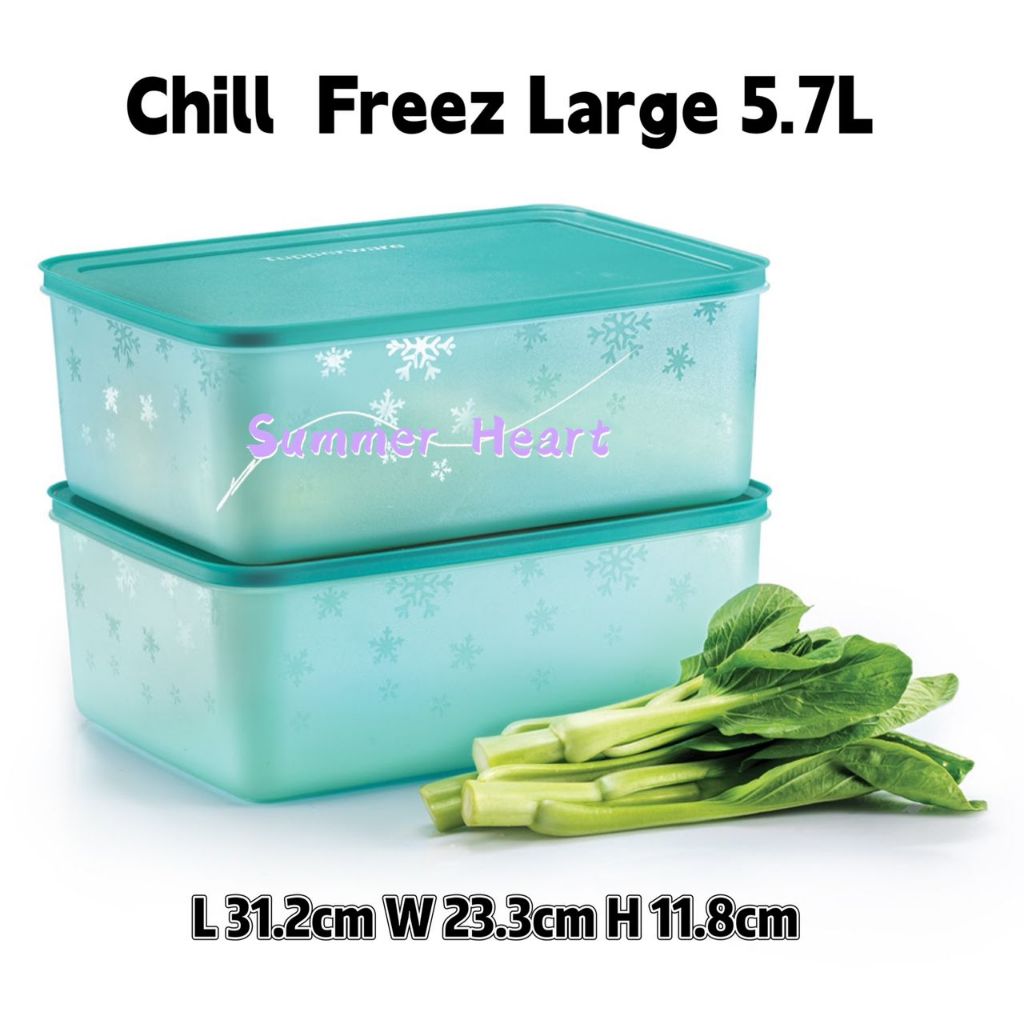 Tupperware Chill Freeze Large 5.7L (1pc) | Shopee Singapore