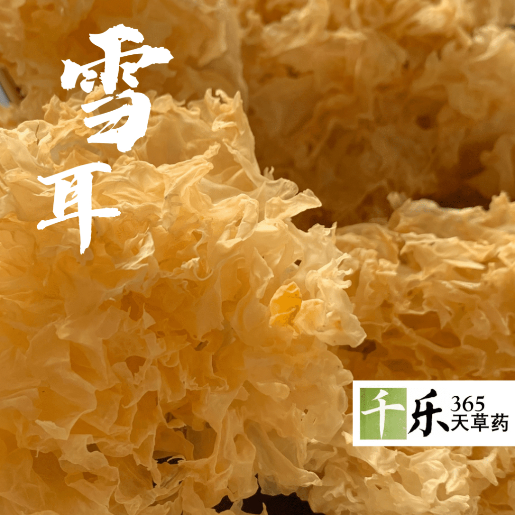 Qian Le Herbs 365 White Fungus Qianle Chinese Herbal Material 365 Snow ...