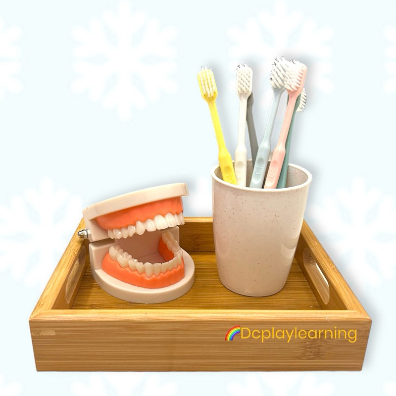 Tooth Brushing Teaching Aids Kids Brush Teeth Dental Teeth Model ...