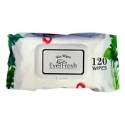 Everfresh Wet Wipes (15 x 18cm) 120 pcs | Shopee Singapore