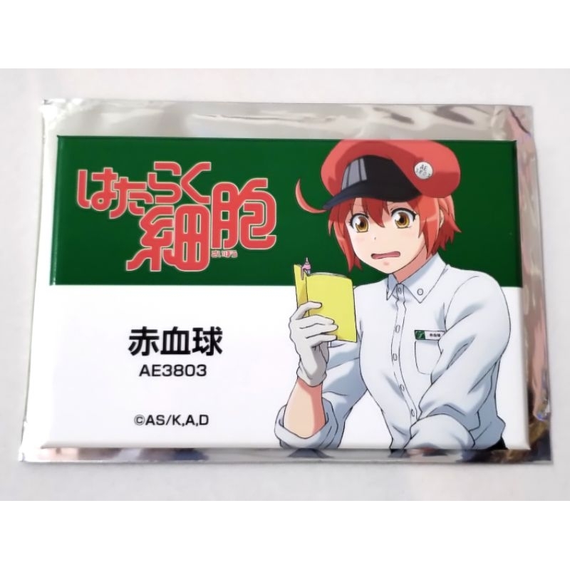 Official Cells At Work x Tokyu Hands Limited Collab Rectangle Badge Red ...
