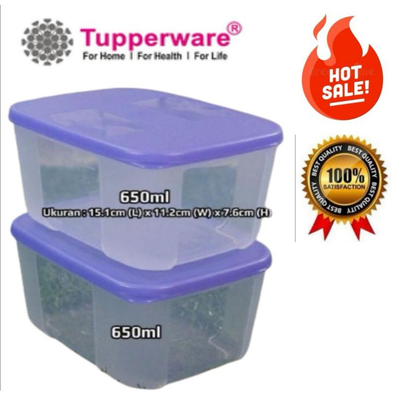 STOK Tupperware freeze mate 650ML | Shopee Singapore