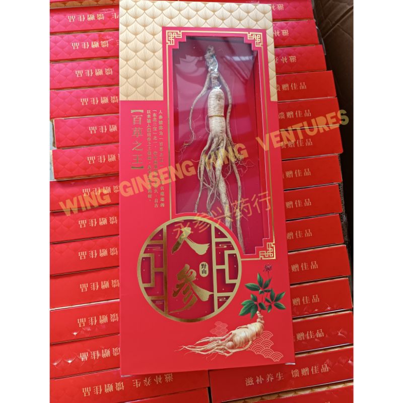 CNY 2026 Ginseng Hamper 新货 长白山人参 送礼佳品 礼盒 礼蓝 | Shopee Singapore