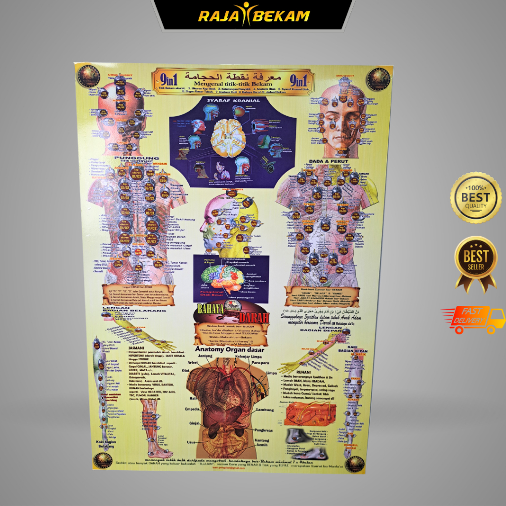 9 in 1 Cupping Point Poster / Cupping Guide Poster / A3 Cupping Point ...