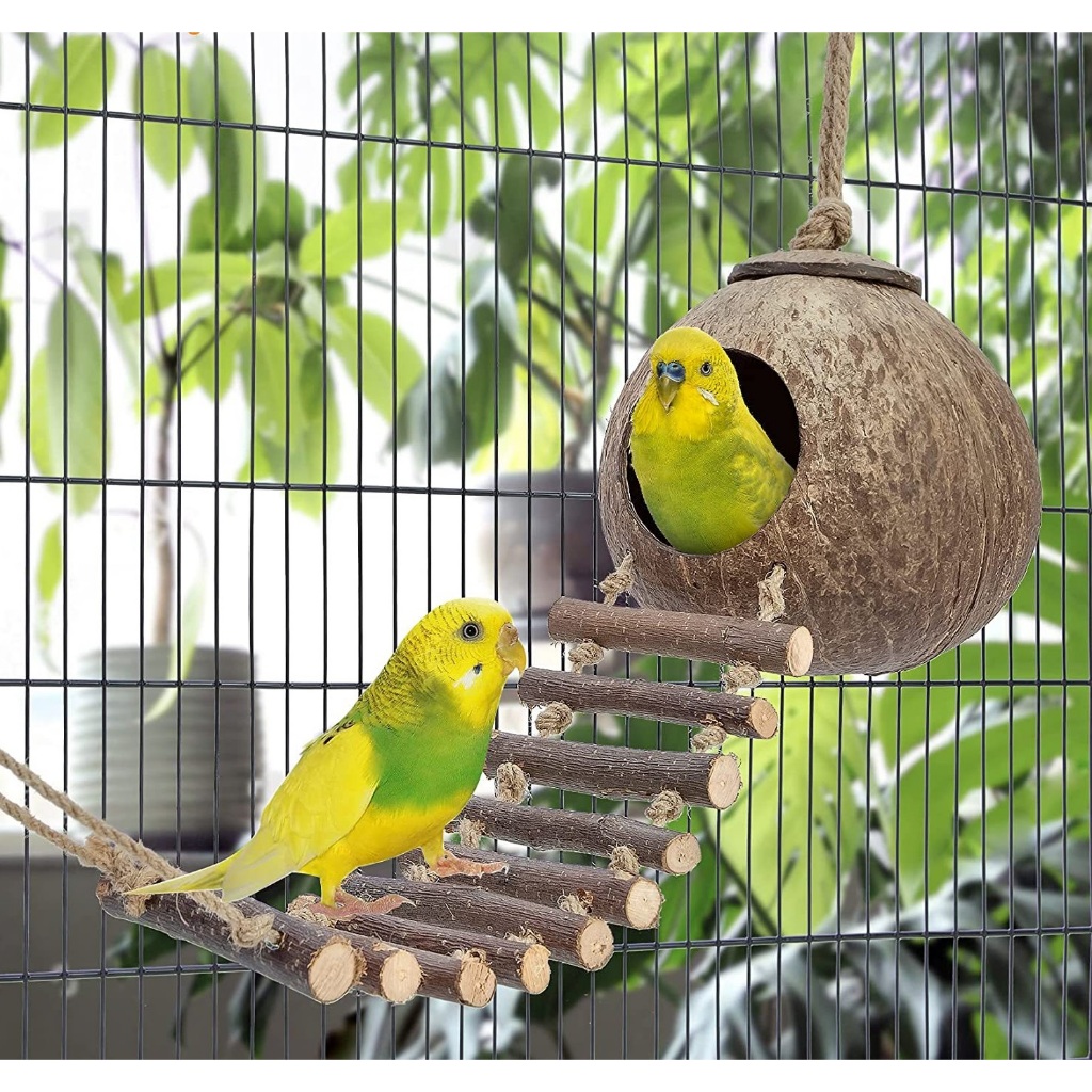 Natural Coconut Shell Bird Nest Bird Feeder Parrot Swing Toy with ...