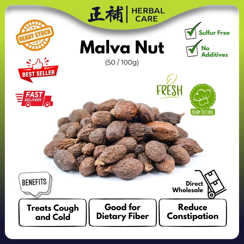 Malva Nut 铜大海 大海子 Scaphium affine Herbal Care Flower Seeds | Shopee ...