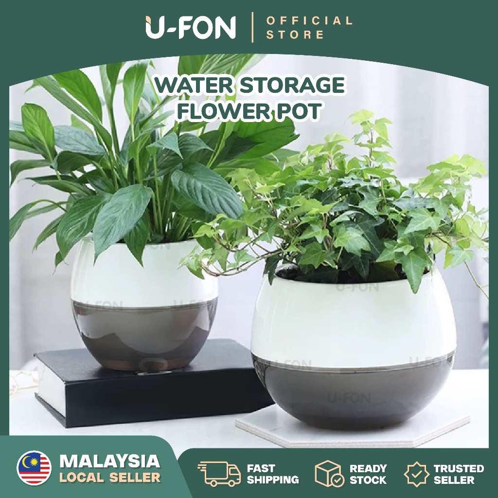 Water Storage Flower Pot Transparent Self Watering Indoor Flower Pot ...