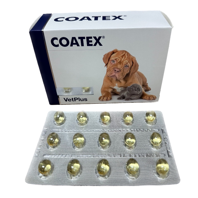 Vetplus Coatex EFA (15 capsules supplement hair and skin dogs and cats ...