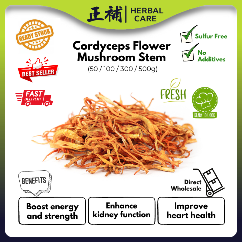 Cordyceps Flower Mushroom Stem | 蟲草花 蟲草花 北蟲草 Cordyceps Militaris ...