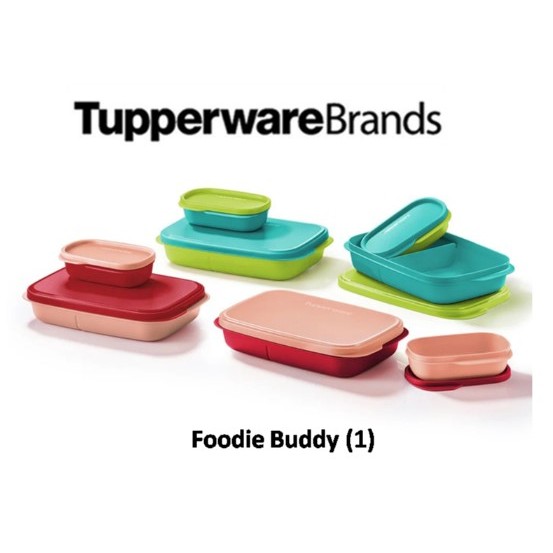 Tupperware Foodie Buddie Set 4pcs with divider 560ml & 4 pcs 120ml ...