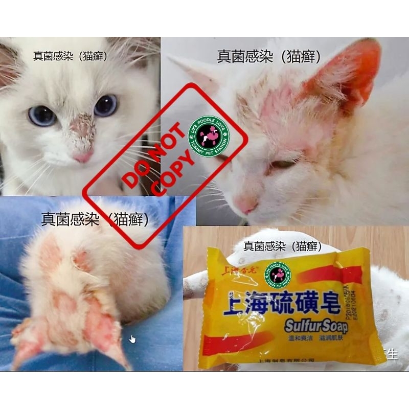 SABUN SULFUR (FUNGUS/KURAP) | Shopee Singapore