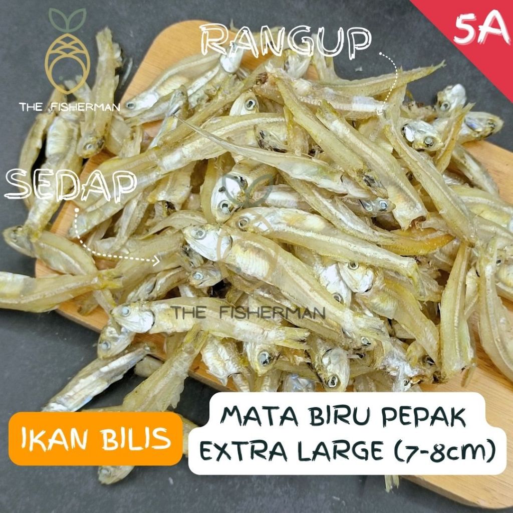 MATA Large Anchovies Papak Blue Eyed Anchovies Not Kopek Anchovies 1kg ...