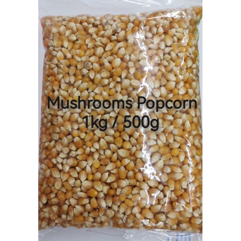 Popcorn Mushroom 1kg / 500g | Shopee Singapore