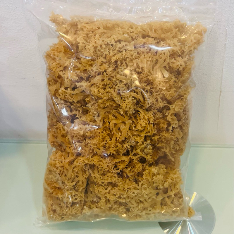 Seaweed Sea Birdnest Rumput Laut Kering Rumpai Laut Sabah 500g Natural ...