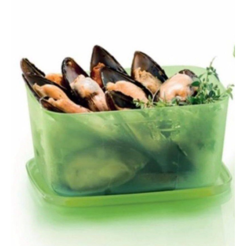 Tupperware Freezer Mate Small (1)pc 650ml Only- Limited | Shopee Singapore