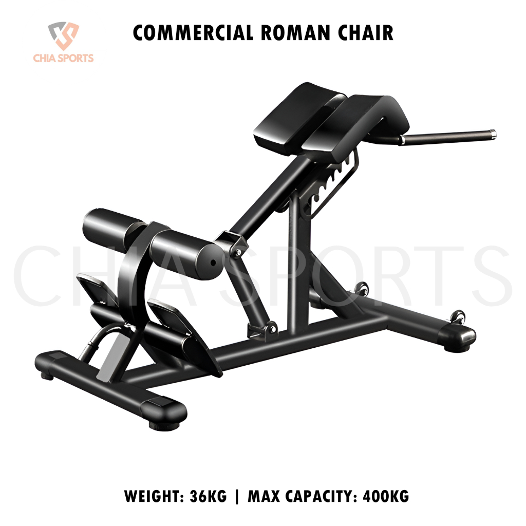 Commercial Roman Chair Adjustable Hyper Ab Bench Back Extension dip ...