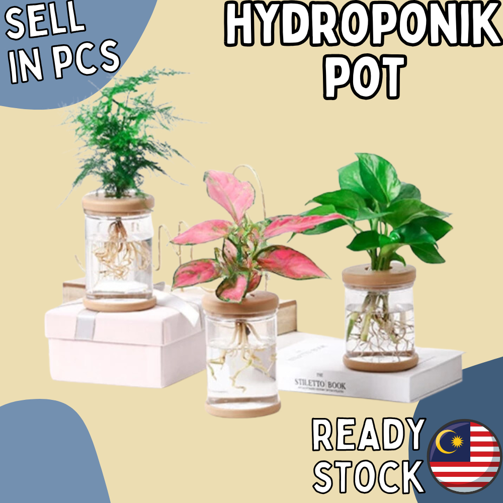 MELLOWMART Imitated Transparent Self Watering Pot Hydroponic Pot Auto ...