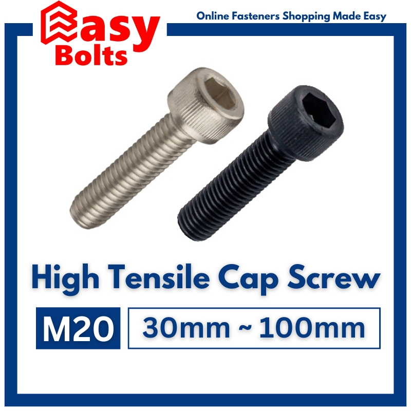 HT Socket Cap Screw - M20 x 30mm ~ 100mm (Coarse Thread Pitch 2.5mm ...