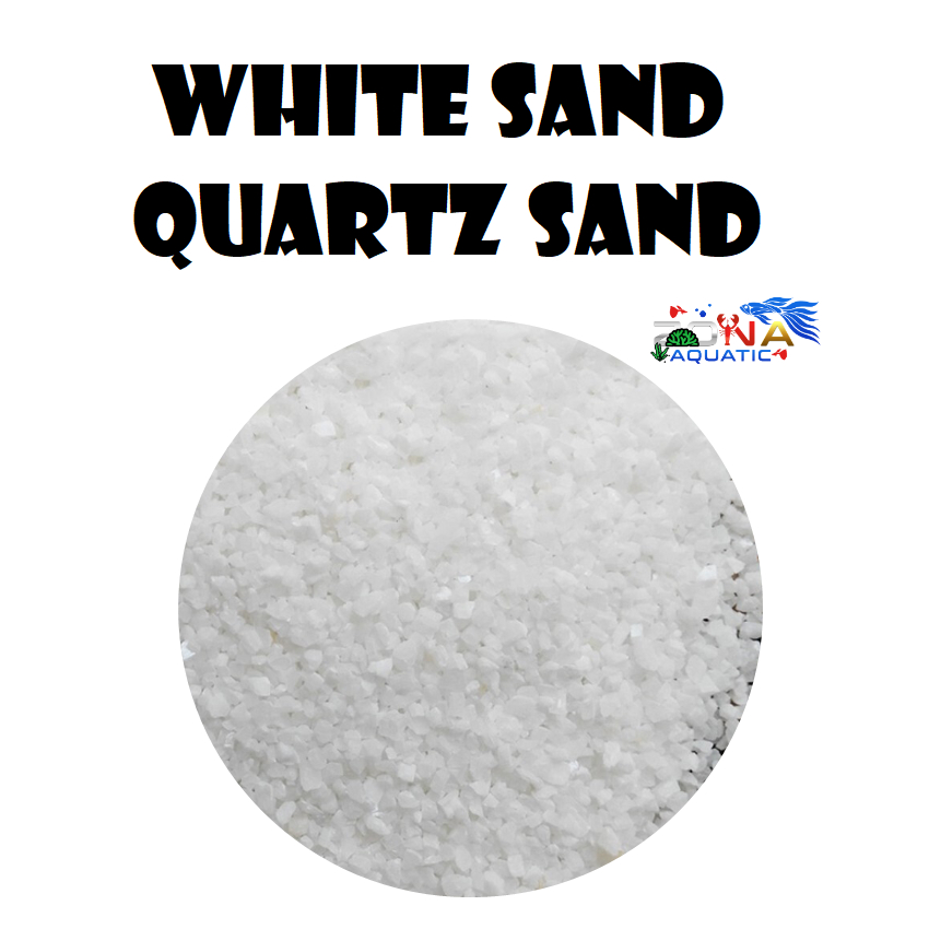 WHITE SAND | QUARTZ SAND | PURE WHITE SAND | FOR AQUARIUM TANK | FOR ...