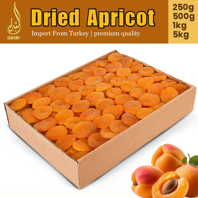 FRESH Premium Dried Apricot/Buah Aprikot kering new 250/500/1000/5000g ...