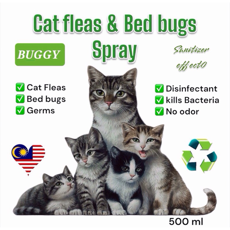Cat Fleas spray, ticks spray and Bed Bugs spray ( Ubat Kutu Kucing dan ...