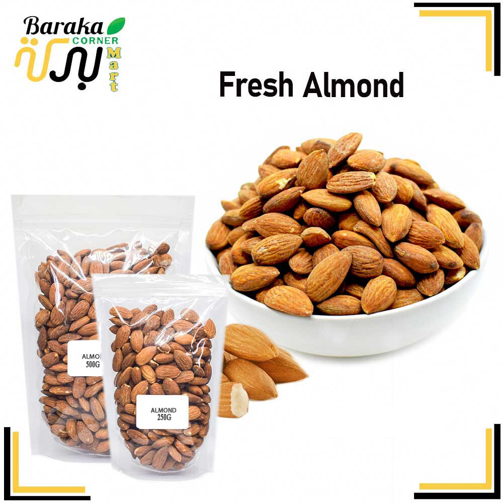 Kacang Badam Segar | Nut | Fresh Almond Nuts 150g/250g/500g/1kg | Shopee Singapore
